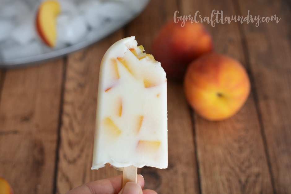 Popsicle Recipes book Pops with a Purpose